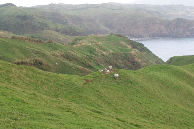 Things You Should Know about the Ivatans (People of Batanes) – Diamond ...